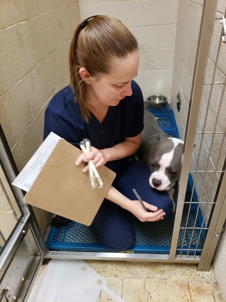 Tour - Ahwatukee Animal Care Hospital